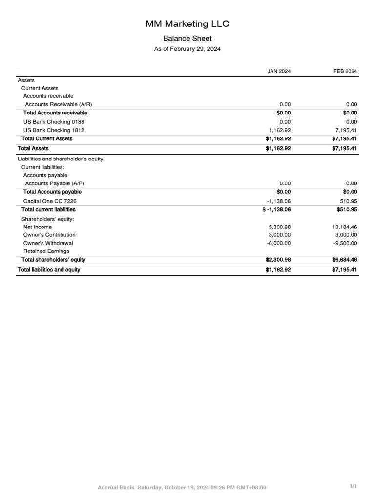 MM Marketing LLC Balance Sheet Overview | PDF