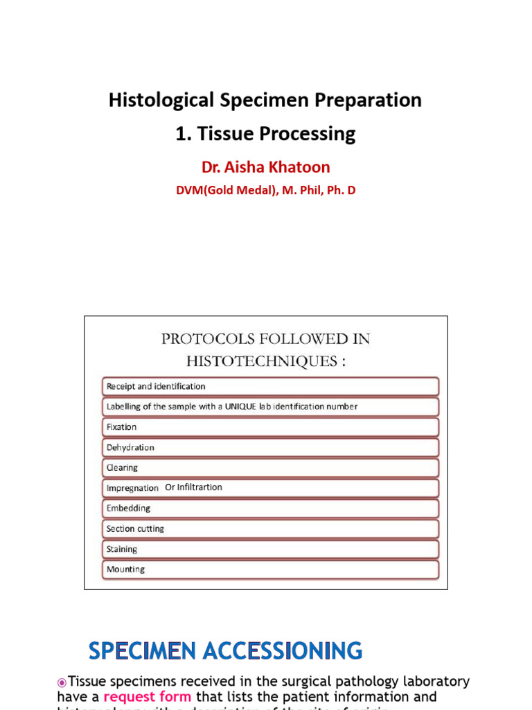 Histological Technique 1& 2 | PDF | Histology | Staining