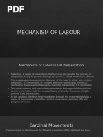 Mechanism of Labour | PDF | Pelvis | Anatomical Terms Of Motion