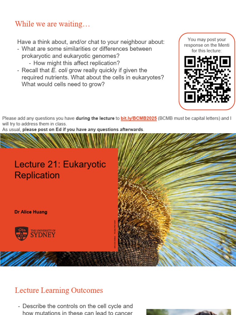 BCMB2X01_MEDS2003_2025_L21_EukaryoticReplication | PDF | Dna Replication | Cell Cycle