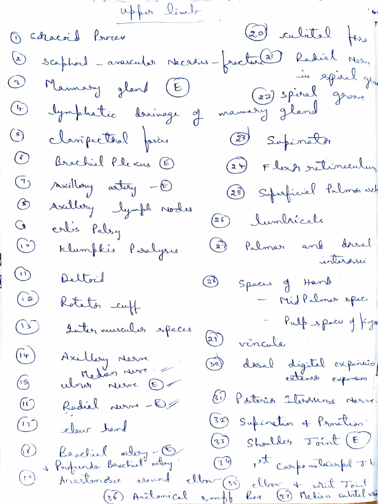 Anatomy Important Questions | PDF