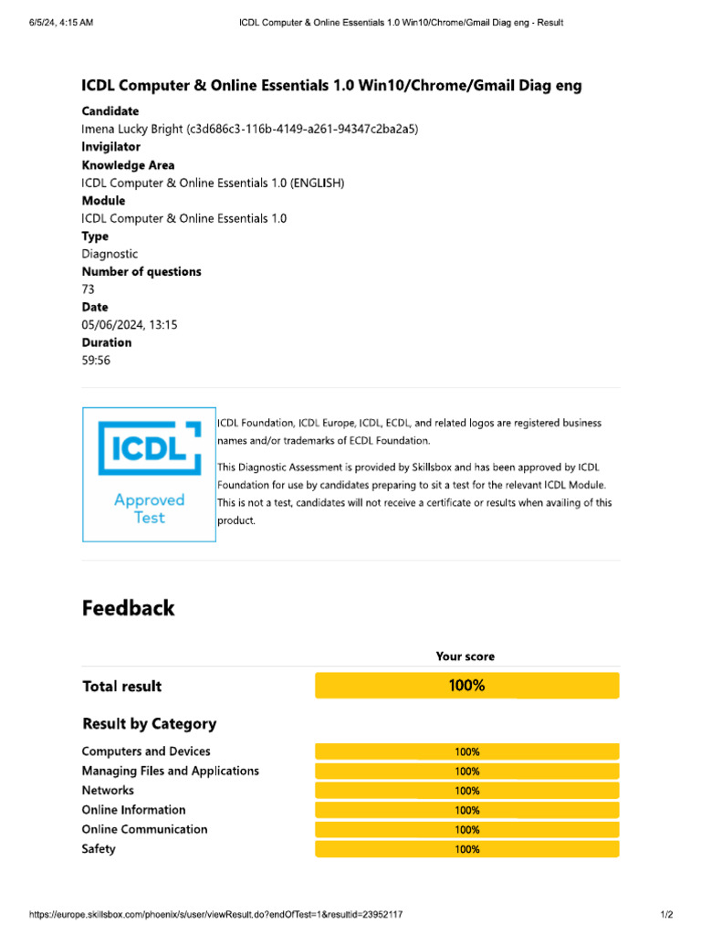 100 Icdl | PDF