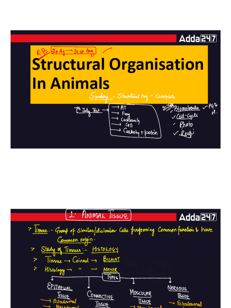 Structural Organisation in Animals | PDF
