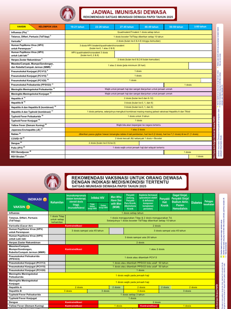 Jadwal Imunisasi Dewasa PAPDI 2025 (Edit 260625) | PDF