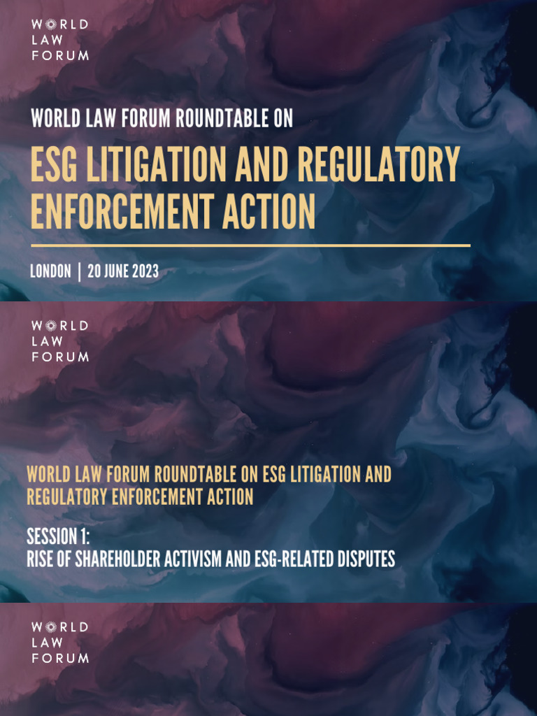 WLF ESG Litigation | PDF