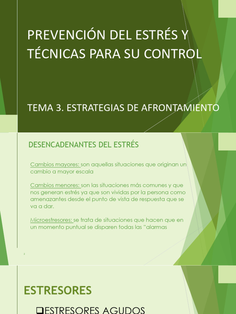 Presentacion Estrategias de Afrontamiento | PDF