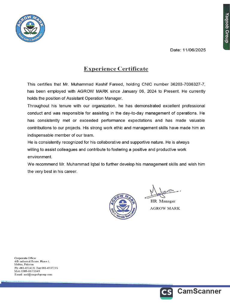 Experience Letter | PDF