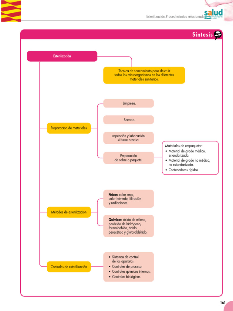 01 Esquemas Esterilizacion Servicio Aragones Salud Enfermeria | PDF