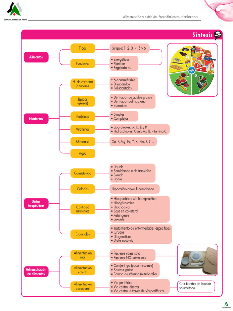 Esquemas 01 Alimentación y Nutrición Aux Enfer SAS | PDF | Alimentos | Lípido