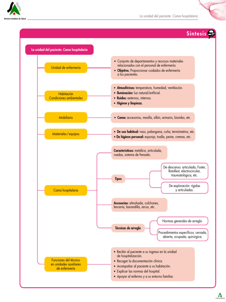 Esquemas 01 La Unidad Del Paciente Aux Enfer SAS | PDF