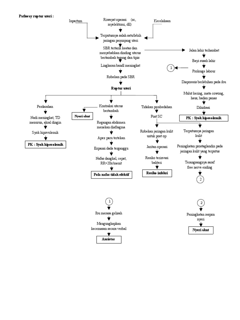 Pathway Ruptur Uteri | PDF