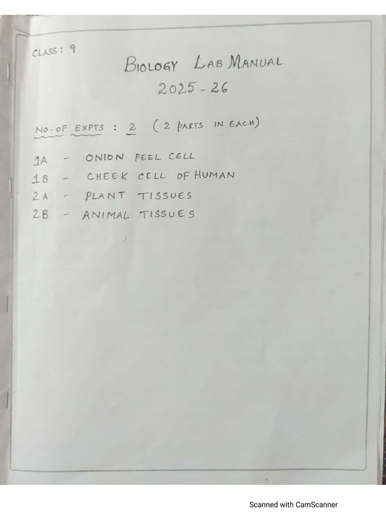 Class 9 Lab Manual 2025-2026 | PDF