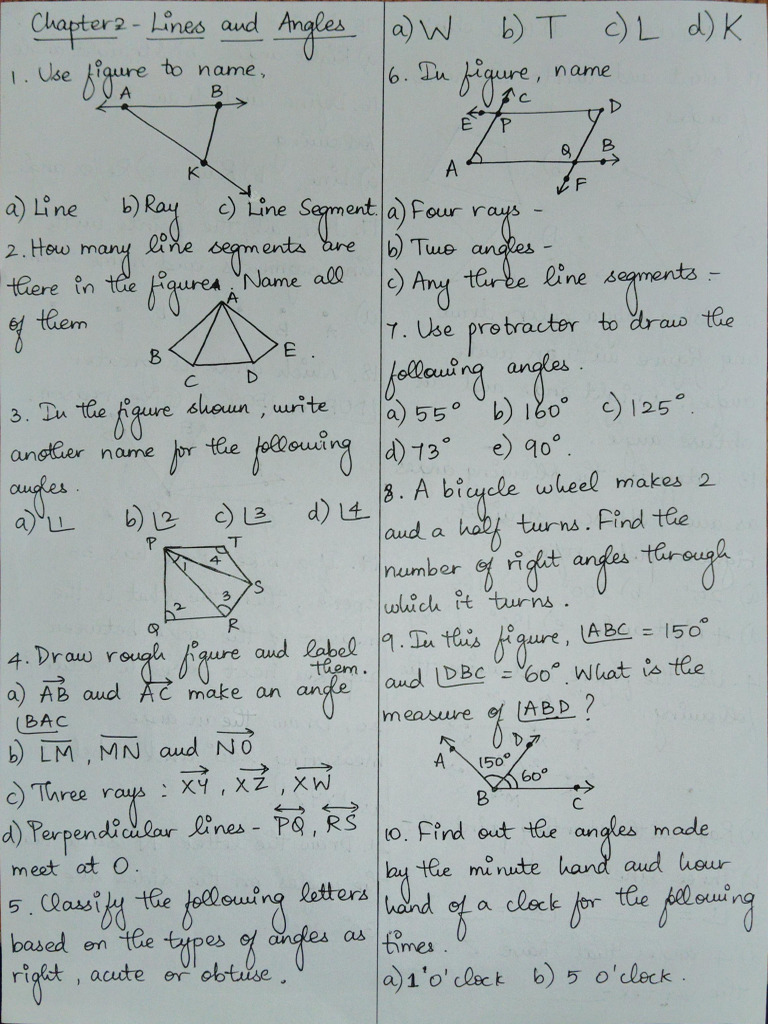 STD 6 Line and Angles Assignment | PDF