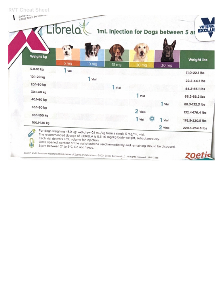 RVT Cheat Sheet 2 | PDF