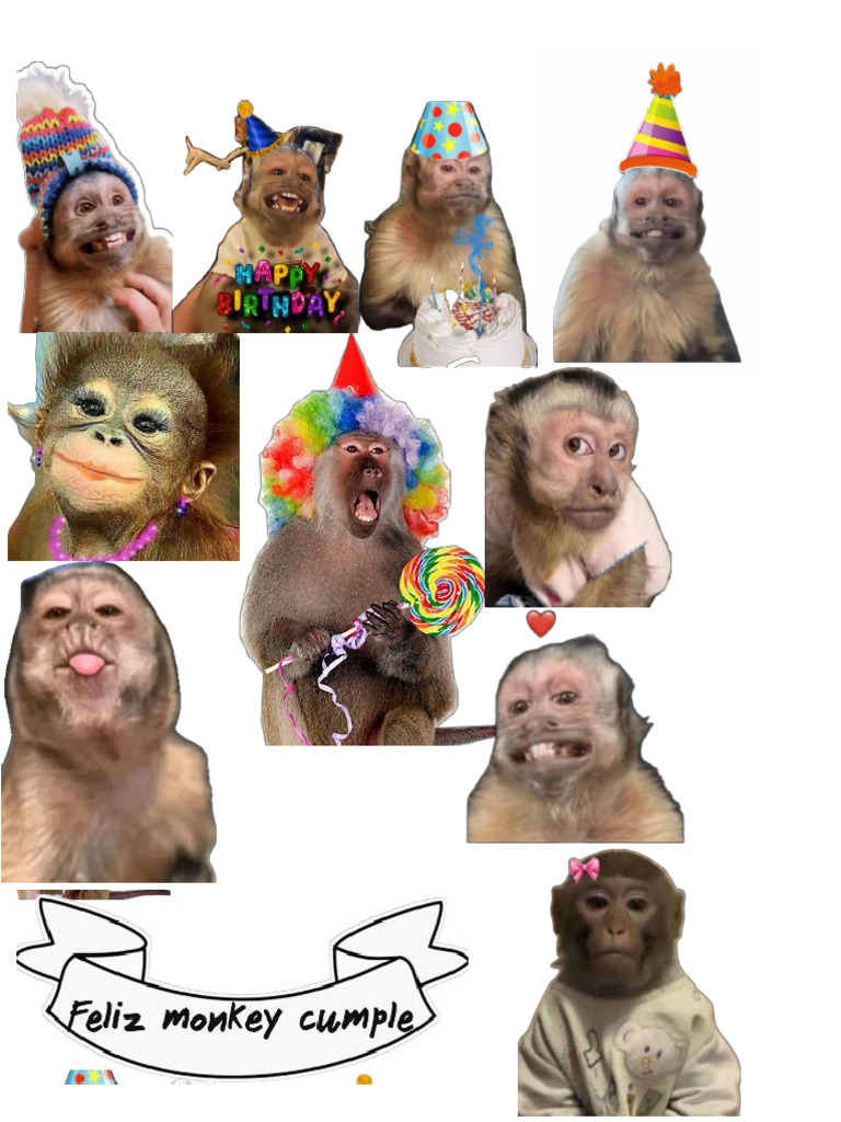 Monkey | PDF