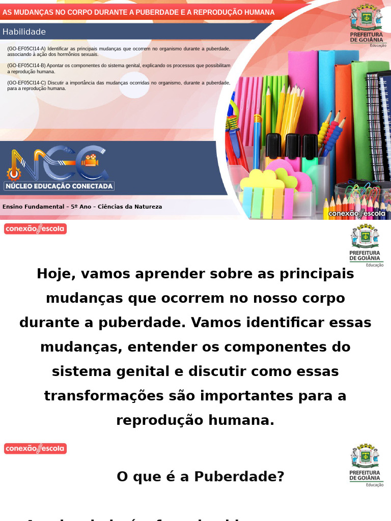 Mudanças na Puberdade e Reprodução | PDF | Puberdade | Sistema reprodutivo