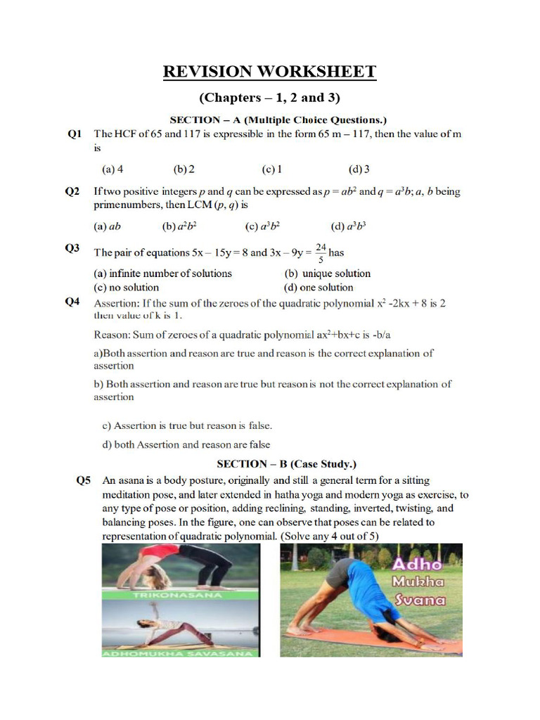 Revision Worksheet 1 | PDF