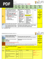 History Grade 12 Atp - 2026 | PDF | Essays