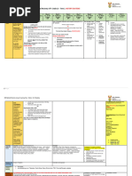 Grade 10 History Term 1 Lesson Plans | PDF