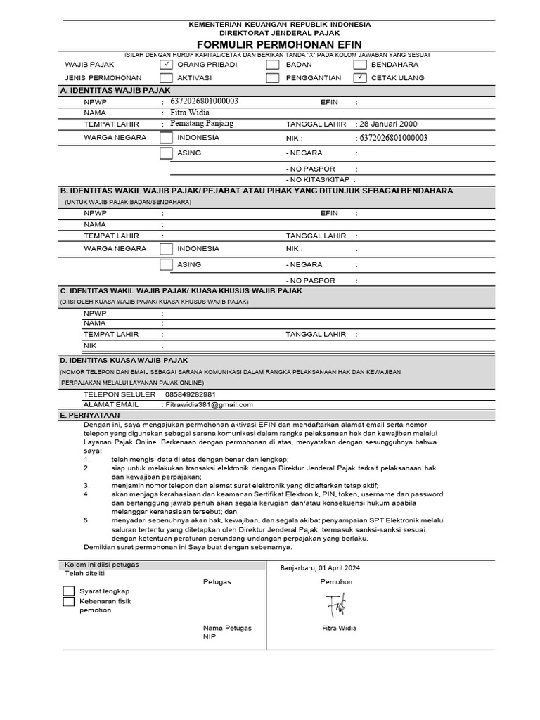 Permohonan Efin | PDF