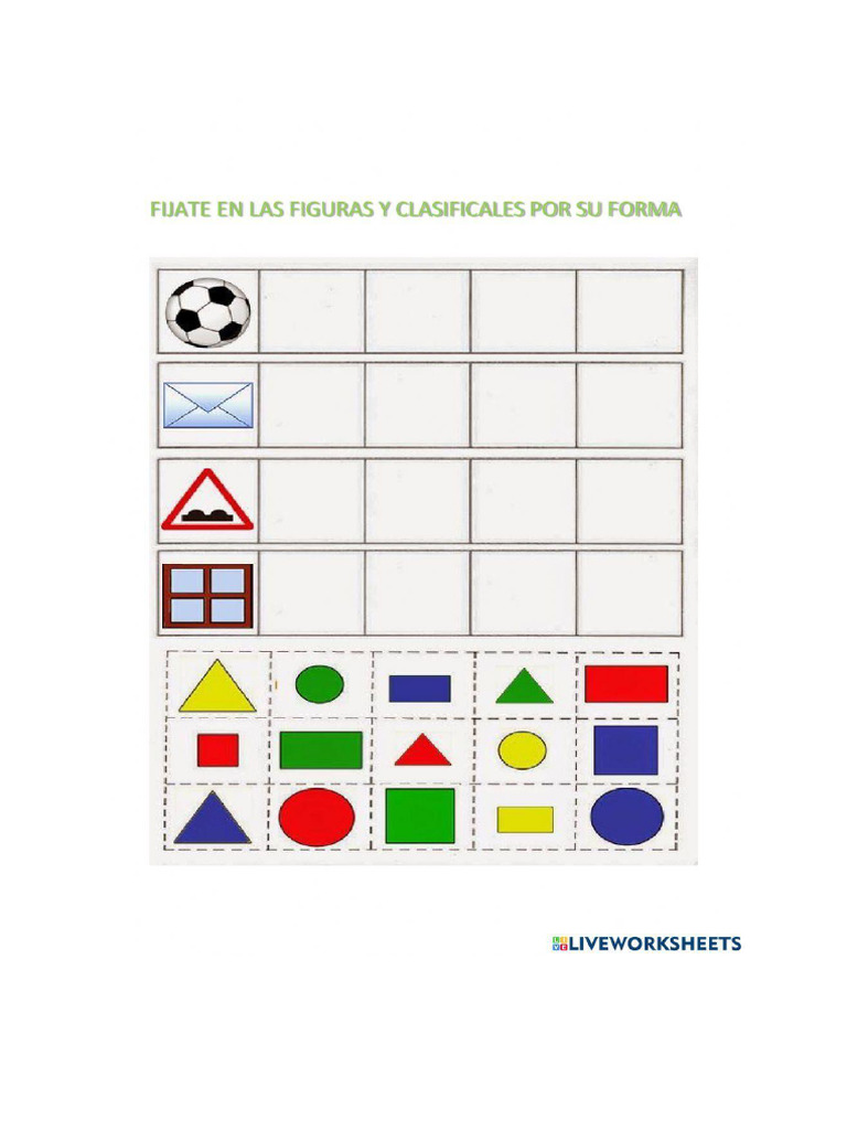 Clasifica Según La Forma y Ubica en Dónde Corresponde | PDF