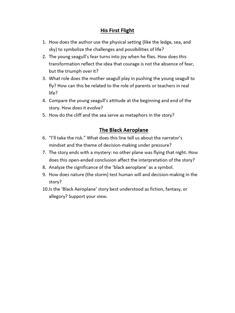 Two Stories About Flying | PDF