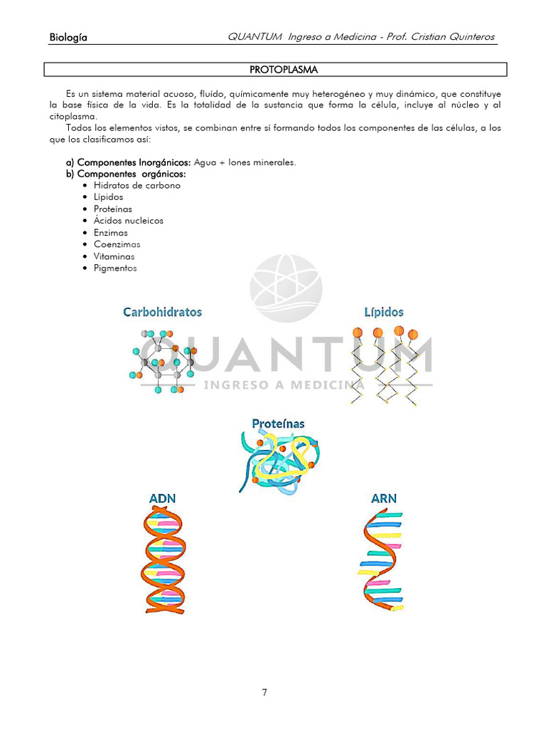 Composición y Funciones del Protoplasma | PDF | Adn | Membrana biológica