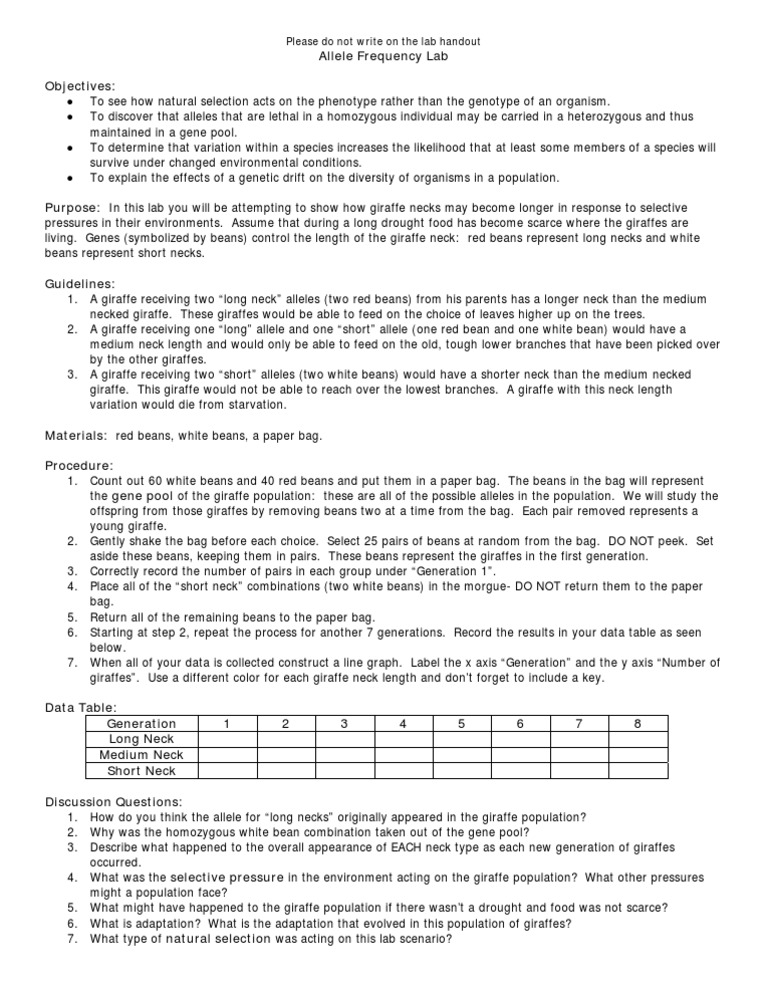 Allele Frequency Lab | PDF | Allele | Zygosity