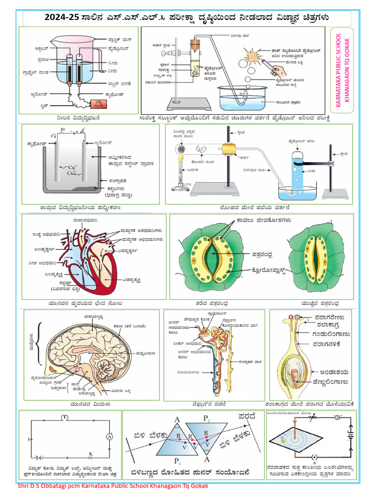 Science Daigrams 2024-25 With Raydiscription | PDF