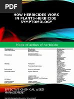 2024 Hrac Global Herbicide Moa Classification Poster | PDF ...