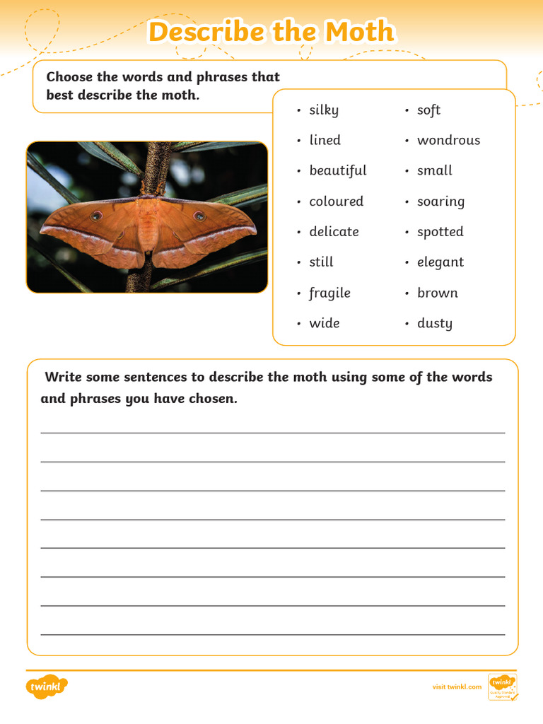 T TP 1710753348 Describe The Moth Worksheet - Ver - 1 | PDF