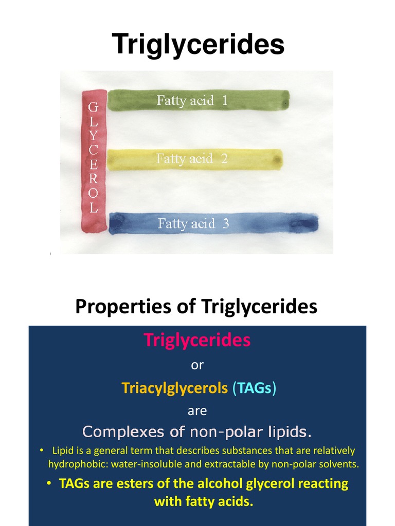 Microsoft PowerPoint - Triglycerides Estimation | PDF | Lipoprotein | Triglyceride