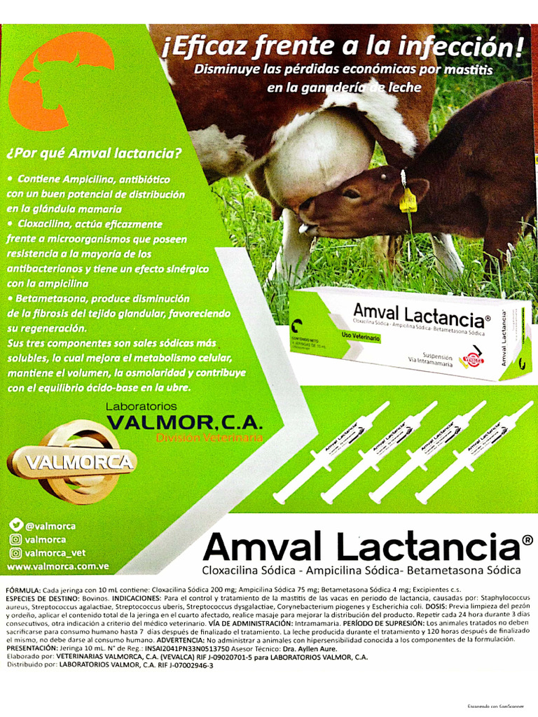 Folleto Amval Lactancia y Secado | PDF