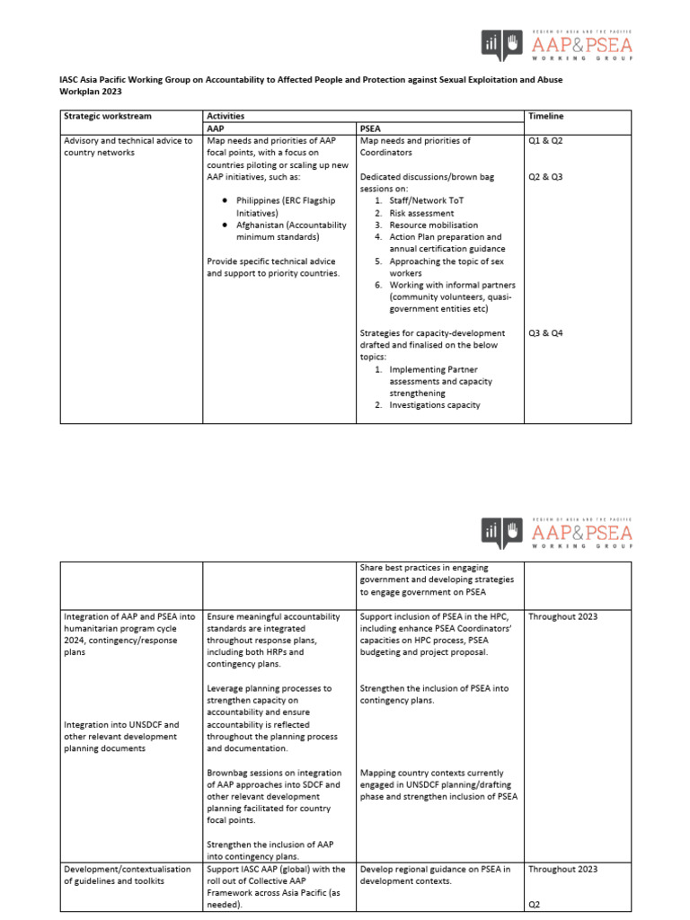 AAP PSEA Workplan 2023 - Final | PDF