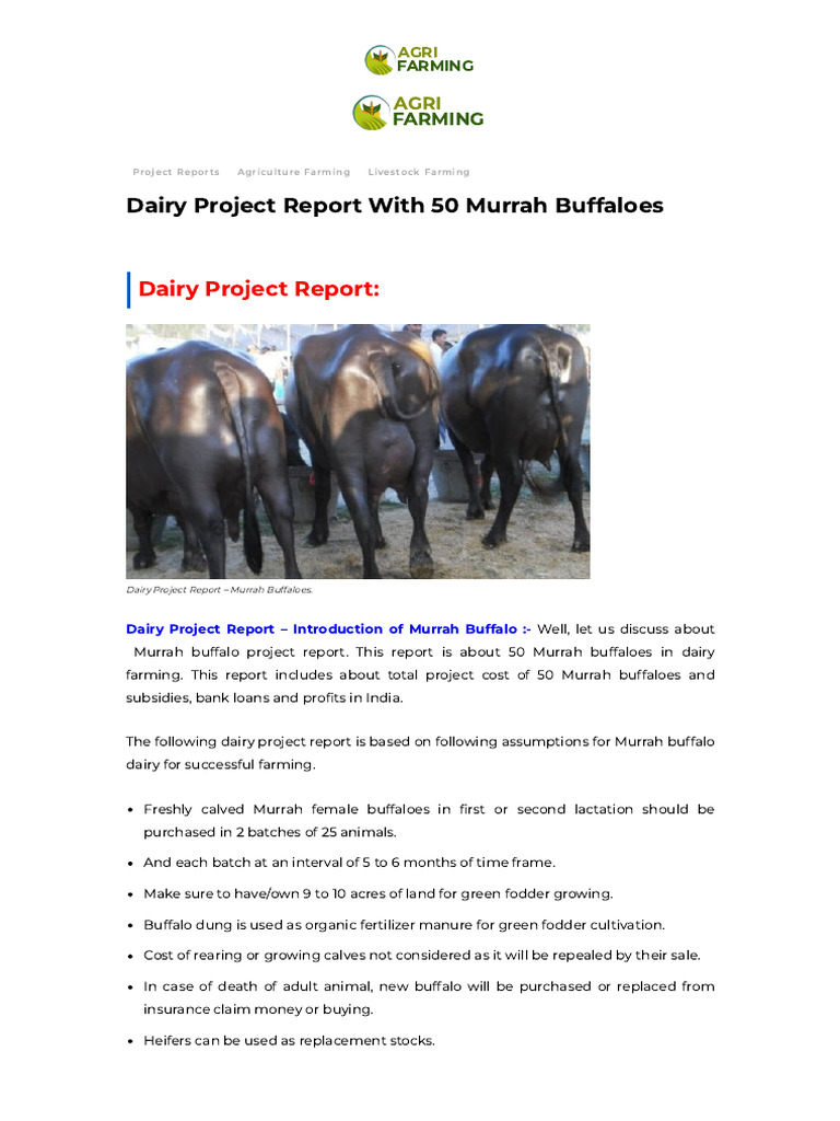Dairy Project Report With 50 Murrah Buffaloes - Agri Farming | PDF | Dairy Farming | Agriculture