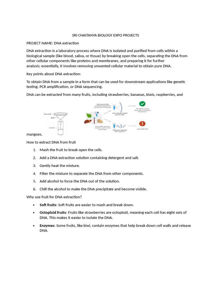 DNA Extraction from Fruits Guide | PDF