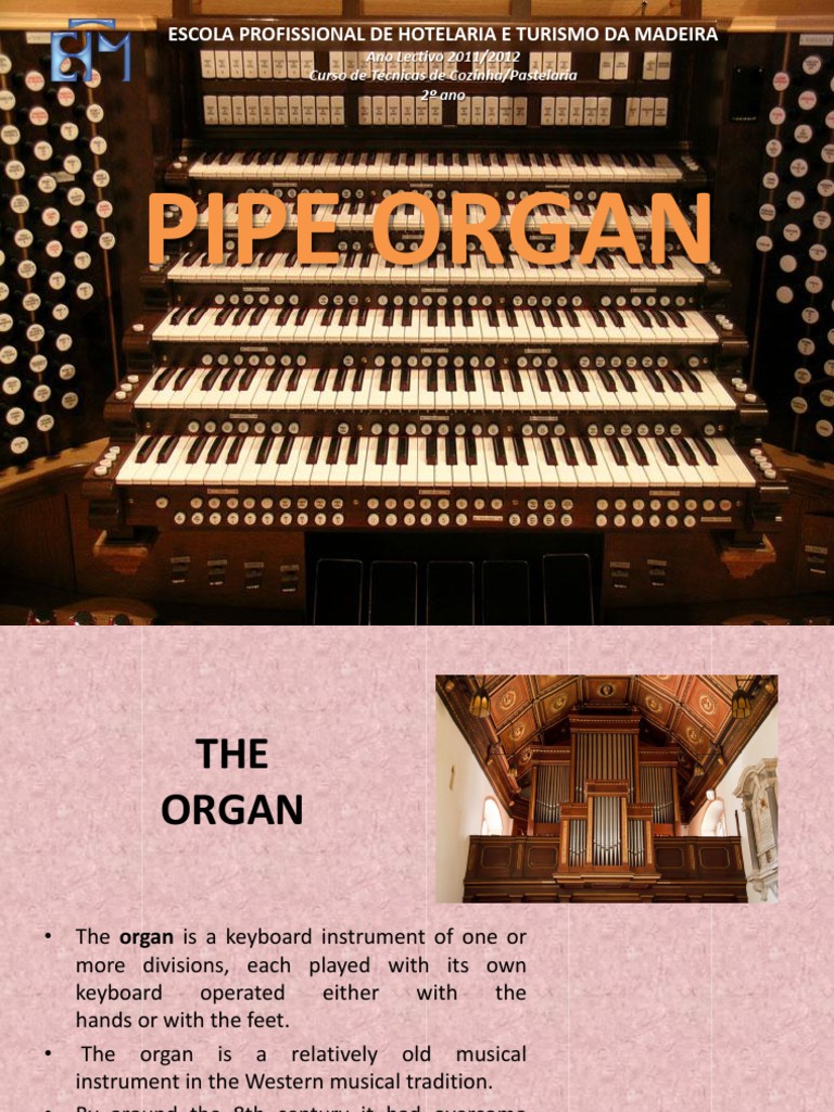 Organ | PDF