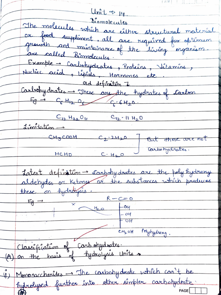CH 14 Biomolecules | PDF