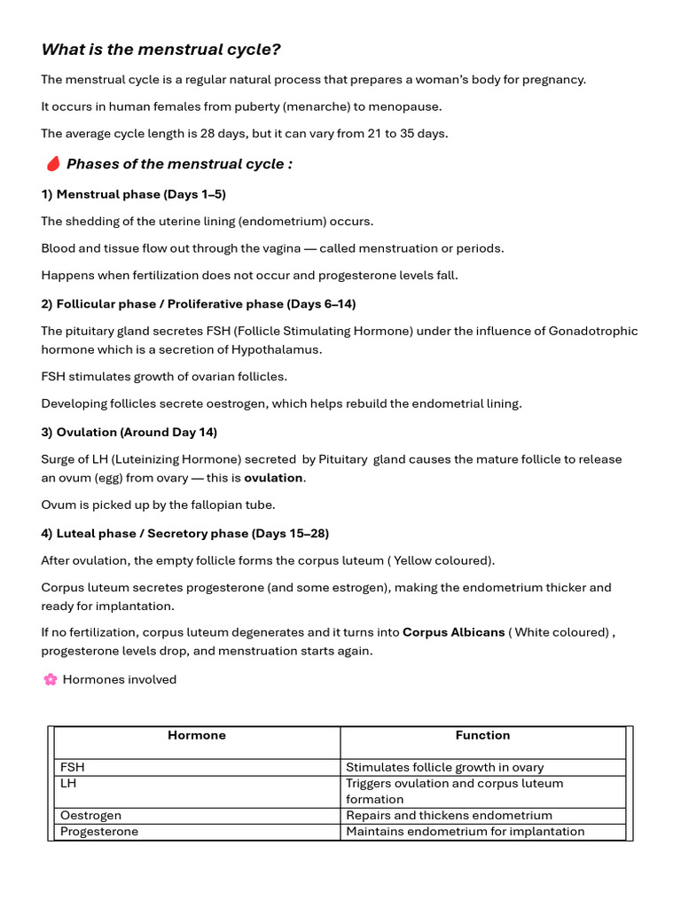 Understanding Menstrual Cycle Phases | PDF