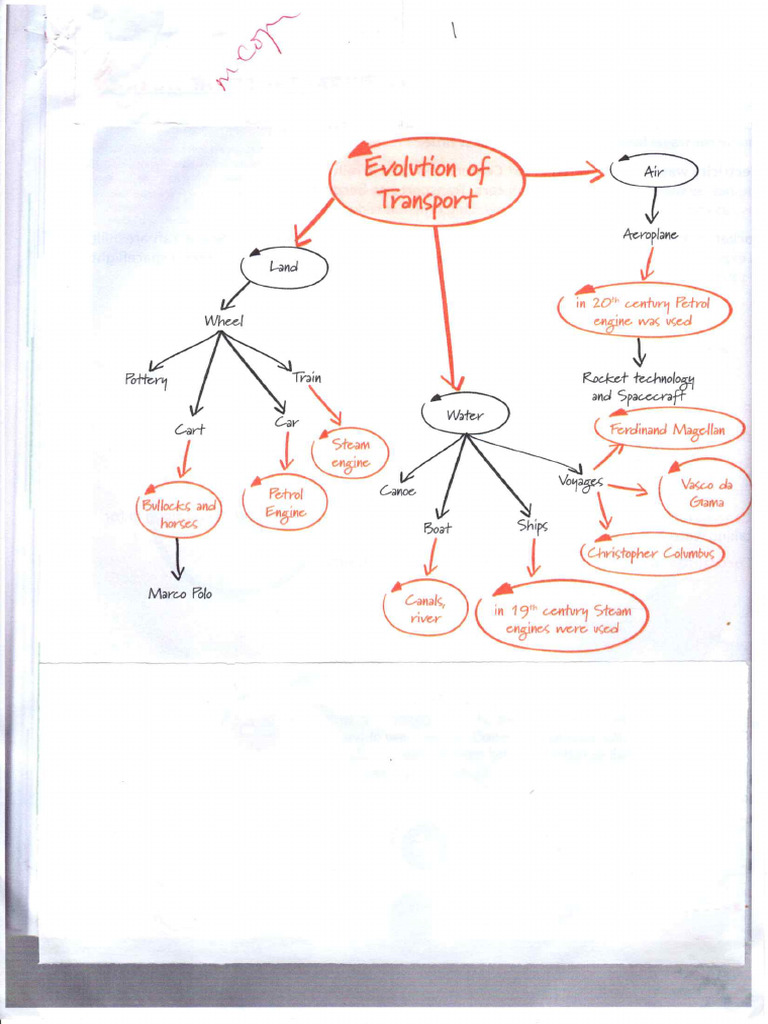 EVOLUTION OF TRANSPORT Grade 5 ICSE | PDF