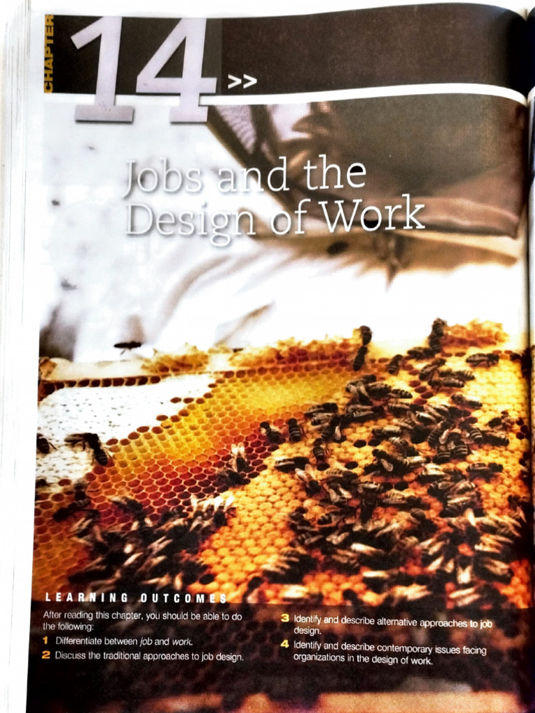 Chapter 14 Job Design | PDF | Industrial Organization | Workplace