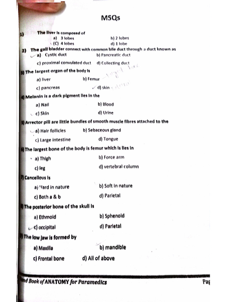 Anatomy McQs | PDF