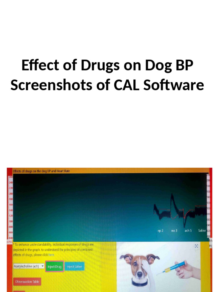 Effects of Drugs On Dog BP | PDF