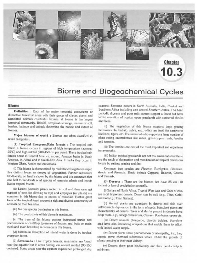 Biome and Biogeochemical Cycles | PDF