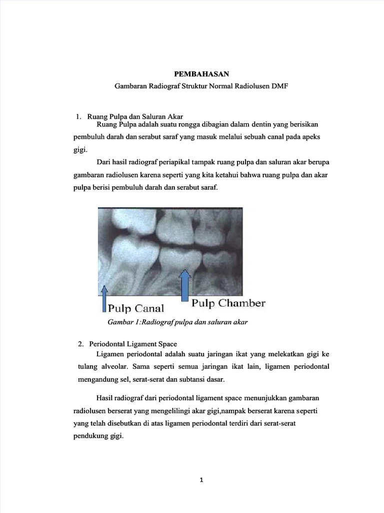 PDF Radiografi Struktur Normal Radiolusen Rongga Mulut Compress | PDF