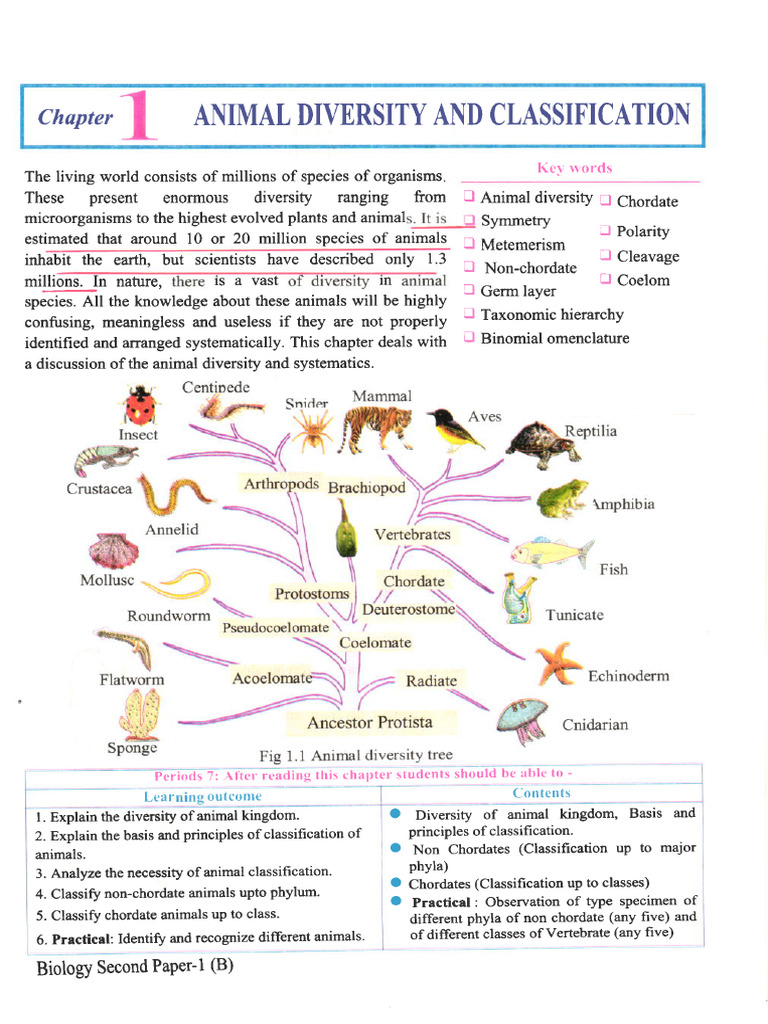Z-01 Mark Book Animal Diversity and Classification | PDF