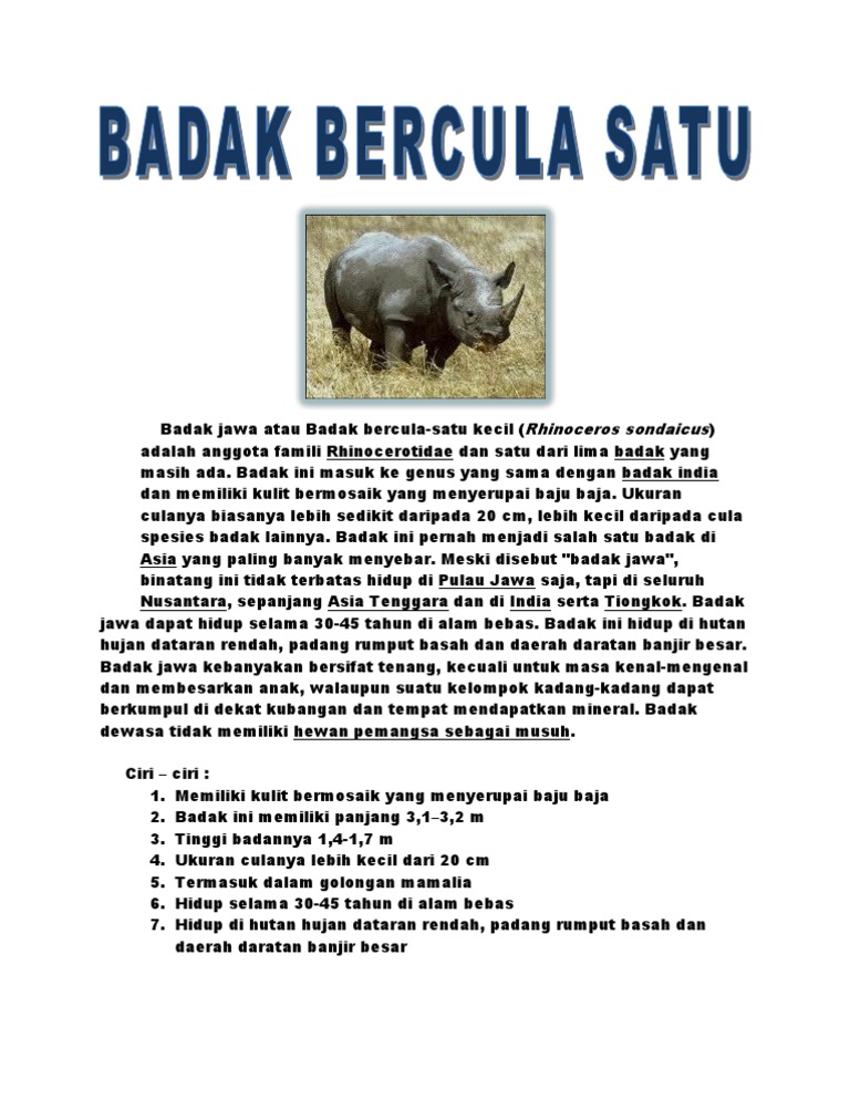 Badak Jawa Atau Badak Bercula | PDF
