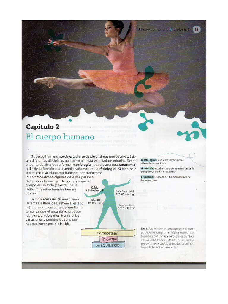 Capitulo 1 El Cuerpo Humano.+1 | PDF