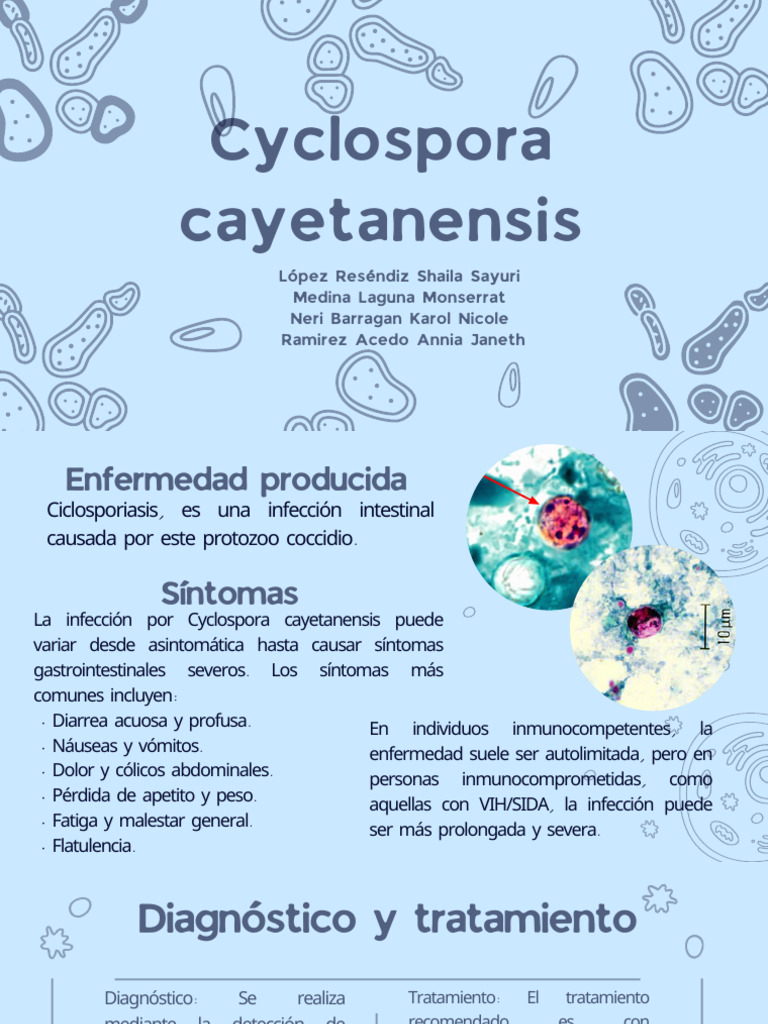 Tratamiento de Ciclosporiasis | PDF | Especialidades Medicas ...