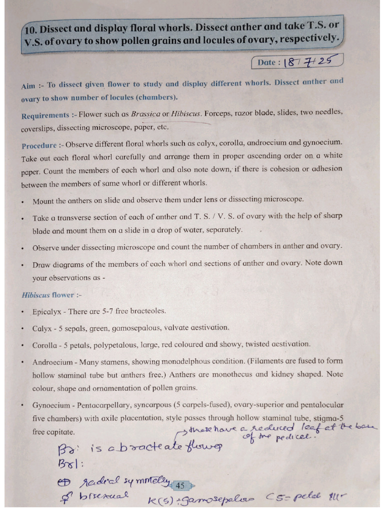 12 TH BIOLOGY (Practical 10) | PDF